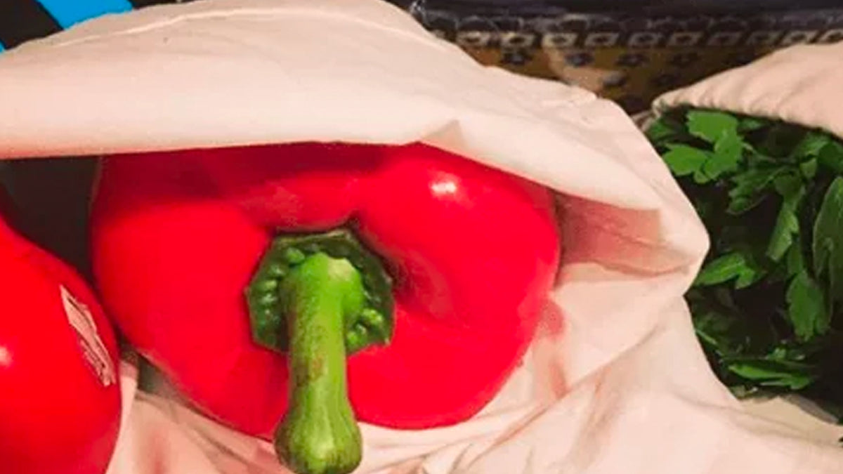 Hall Hack Sashuka – MAHI